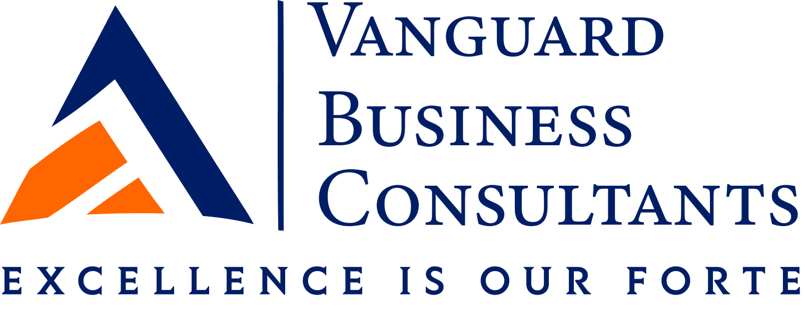 Vanguard Business Consultants | Comprehensive Business Solutions